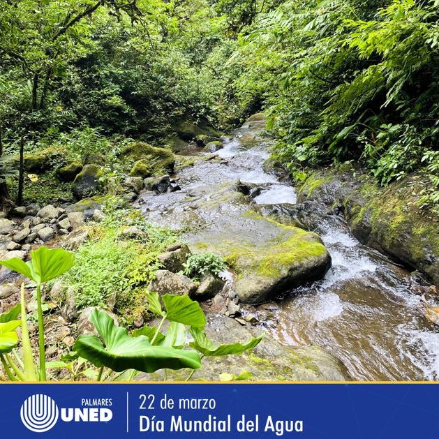 Día Mundial del Agua