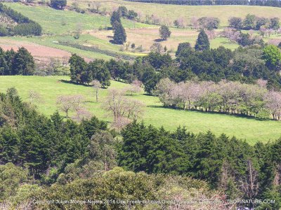 Por Cavernas de Venado, Costa Rica